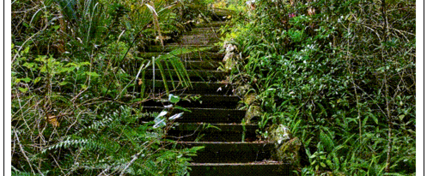 Geology in Ravine Gardens State Park | Florida State Parks Geology in Ravine Gardens State Park | Florida State Parks